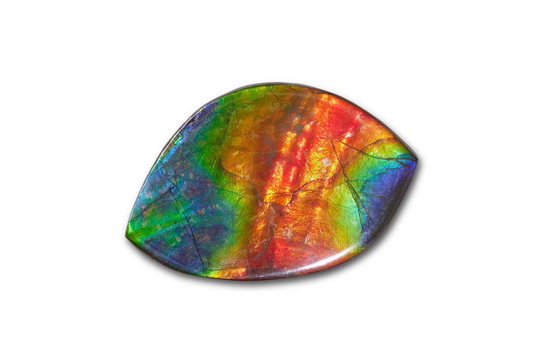 Canadian Ammolite Gemstone 510455 | Hand Specimens